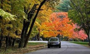 Ready Rides – Provides free transportation to the elderly and disabled ...